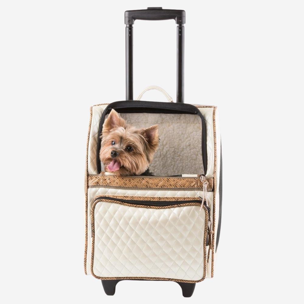 Best Airline Approved Dog Carriers In Cabin With Wheels and Backpack ...