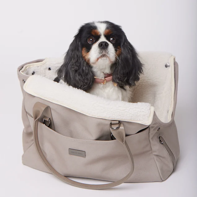 Maxbone Dog Bag City Carrier – Pousse Pitou