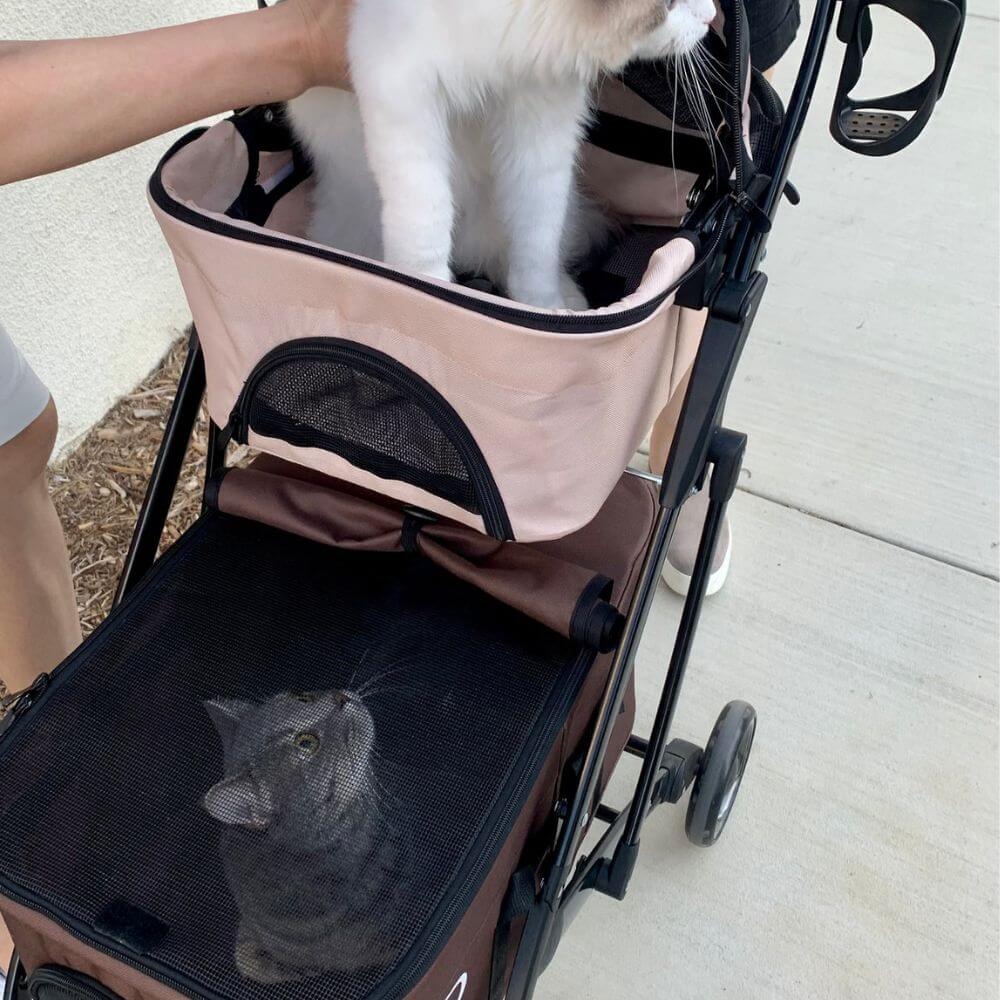 Petique Deluxe Double Decker Dog Stroller Free Shipping to USA – Pousse ...
